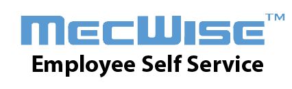 MECWise-ESS – Starvision